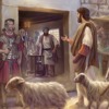 Book of Matthew | Introduction | NWT Study Bible