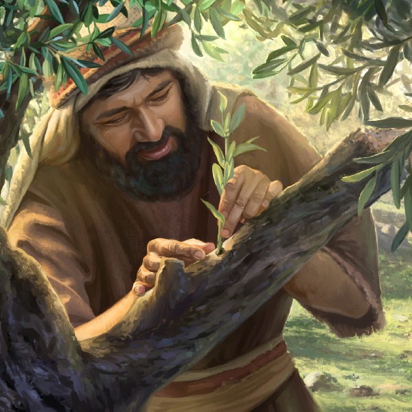 Introdução a Romanos: Quem escreveu Romanos? Quando? | TNM – Bíblia de ...