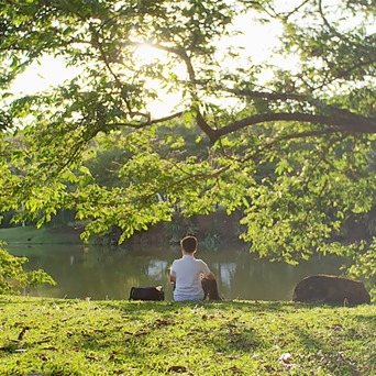 Stop, Think, and Pray | JW.ORG Original Song