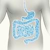 The Enteric Nervous System (ENS)—Your Body’s “Second Brain”?