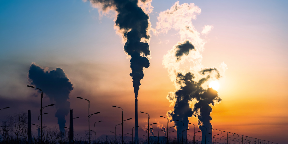 This Issue: Can Our Planet Survive? —Reasons for Hope