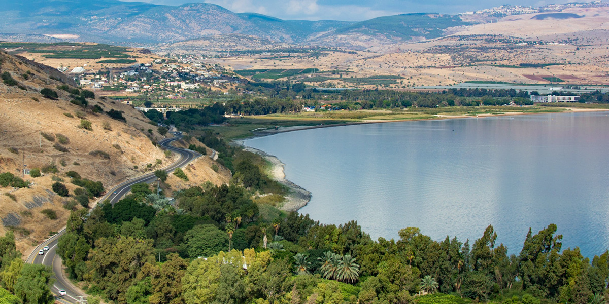 Will There Ever Be a World Without War? | Introduction