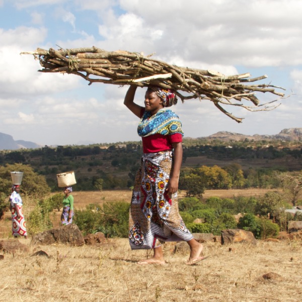 Desfrute dos Resultados do Seu Trabalho Árduo | Amor de Deus