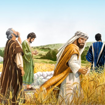Plucking Grain on the Sabbath | Life of Jesus