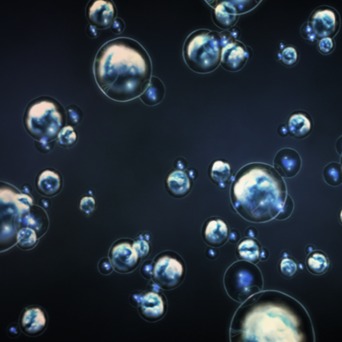 The Wonders of Creation Reveal God’s Glory—Water | Video