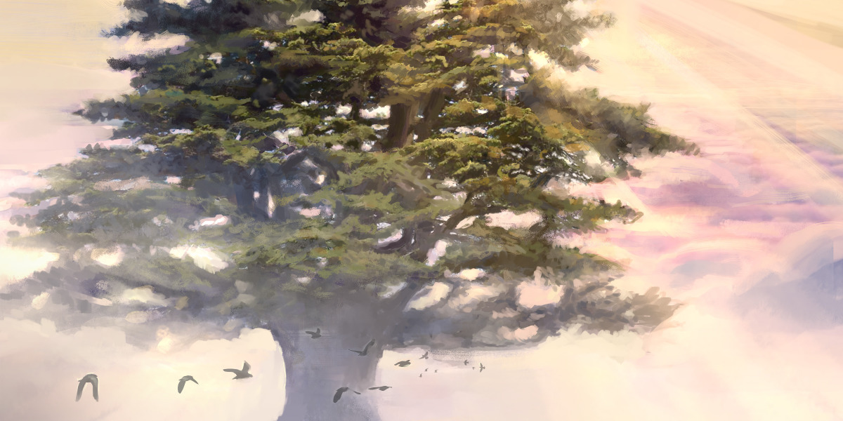 Messianic Prophecy—The Majestic Cedar Tree