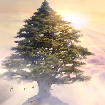 Messianic Prophecy—The Majestic Cedar Tree