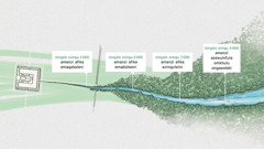 Umfudlana Wamanzi Anika Ukuphila Uba Umfula —Hezekeli 47