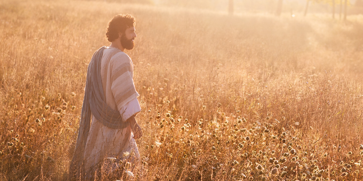 Who Is Jesus Christ in the Bible?