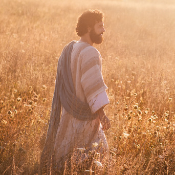 Who Is Jesus Christ in the Bible?