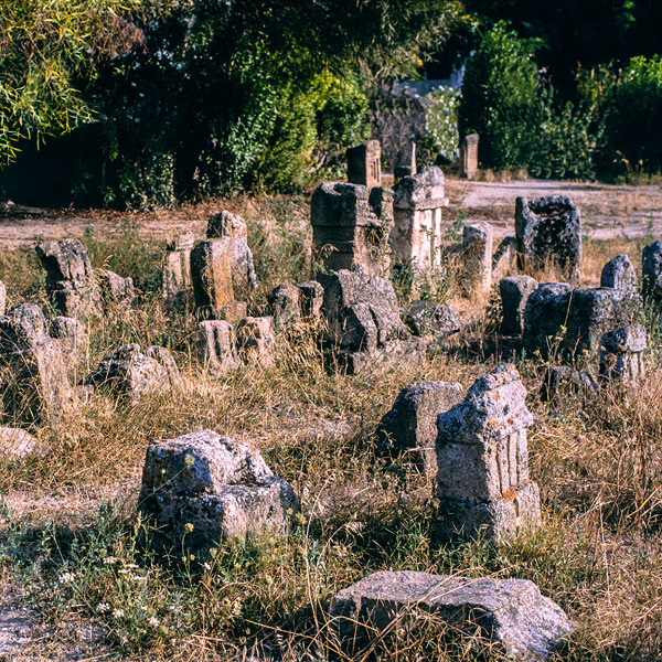 Nations Occupying the Land That God Gave to Israel