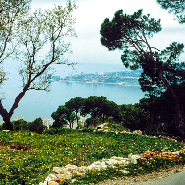 Kingdoms Surrounding Israel