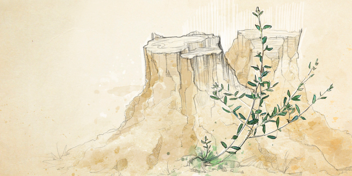 Ese igiti gitemwe cyakongera gushibuka? | Igazeti yo kwigwa