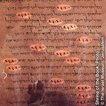 Does God Have a Name?