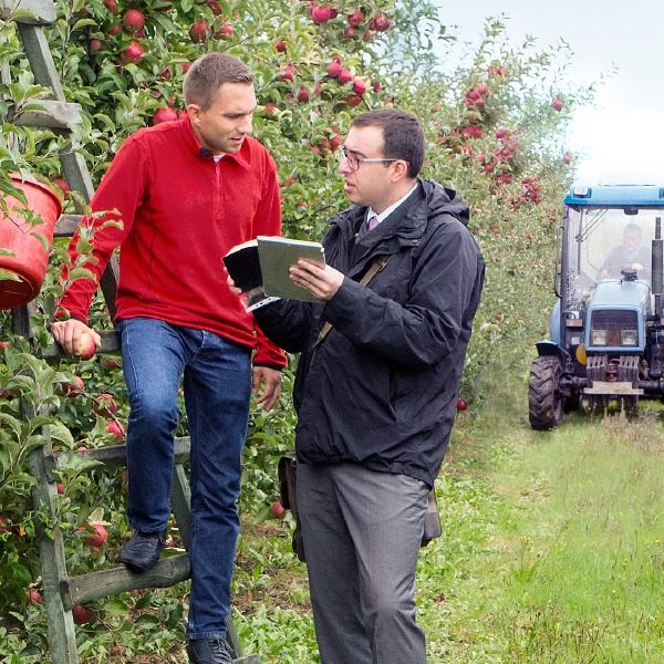 The Watchtower—The One Wey We Dey Study for Meeting, July 2017
