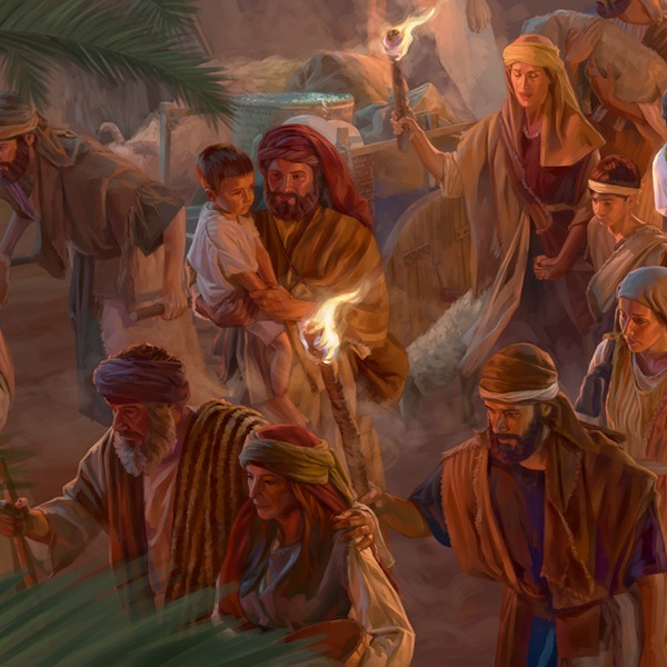 Show Concern for the Feelings of Others | Watchtower Study