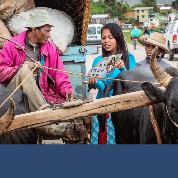 JW Meeting Workbook—January 2016 (MWB) | JW.ORG