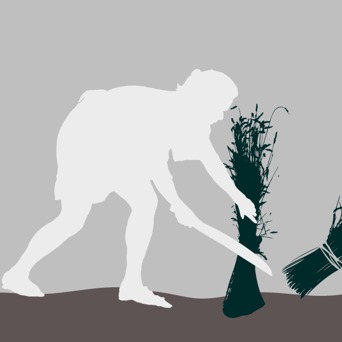 The Illustration of the Wheat and the Weeds (Matthew 13)
