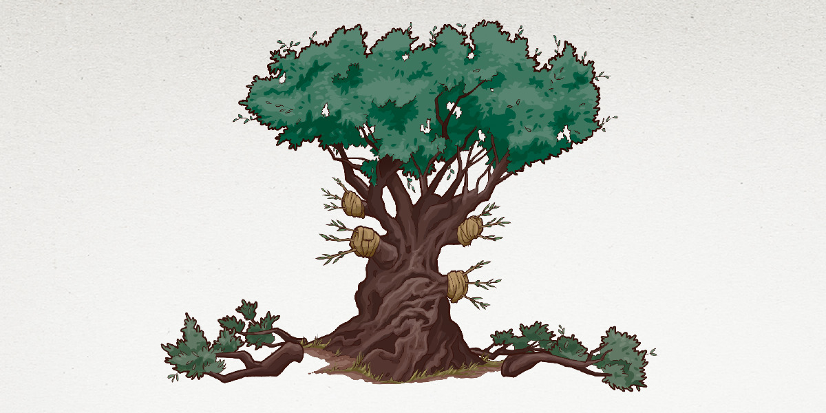 The Illustration of the Olive Tree (Romans 11)