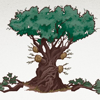 The Illustration of the Olive Tree (Romans 11)