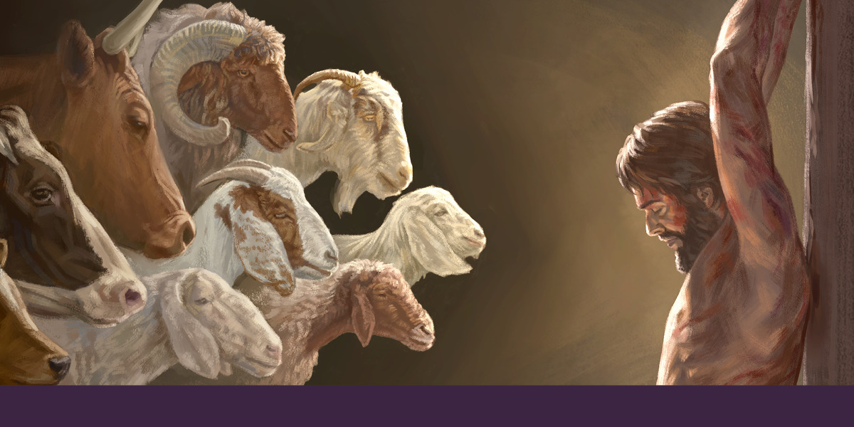 JW Meeting Workbook— November 2020 (MWB) | JW.ORG