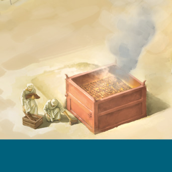 JW Meeting Workbook— December 2020 (MWB) | JW.ORG