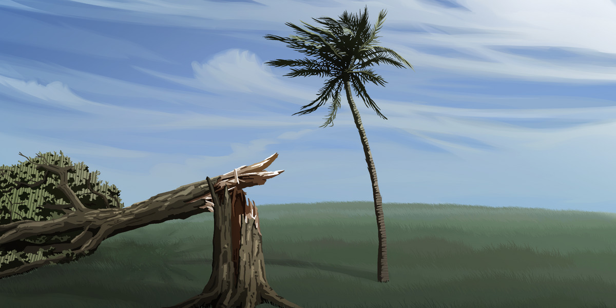 חקה את יהוה — היה סביר | שיעור המצפה