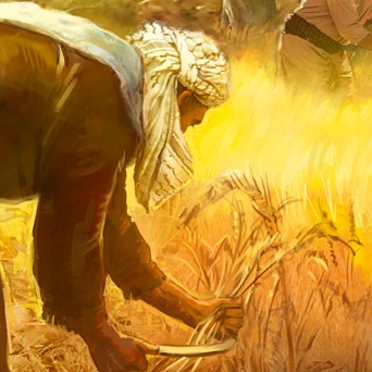 Jesus’ Illustration of the Wheat and the Weeds | Simplified