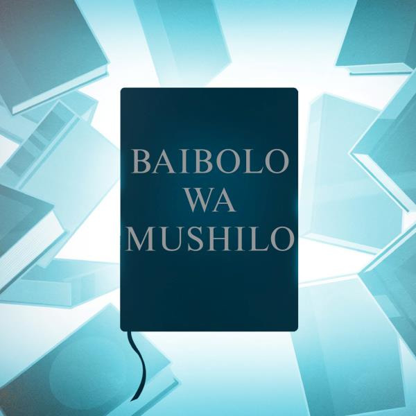 Bushe Baibolo Cinshi? Ifishinka pali Baibolo