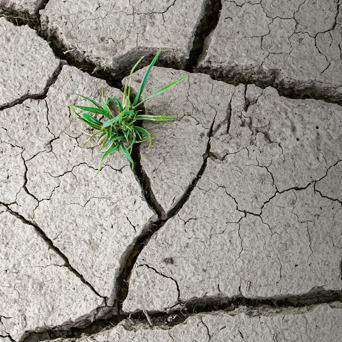 Secas severas ao redor do mundo — O que a Bíblia diz?