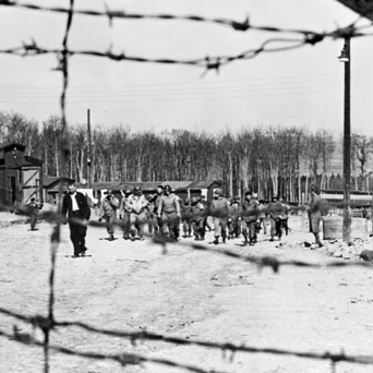 Why Did the Holocaust Happen? Why Didn’t God Stop It? | Bible Questions