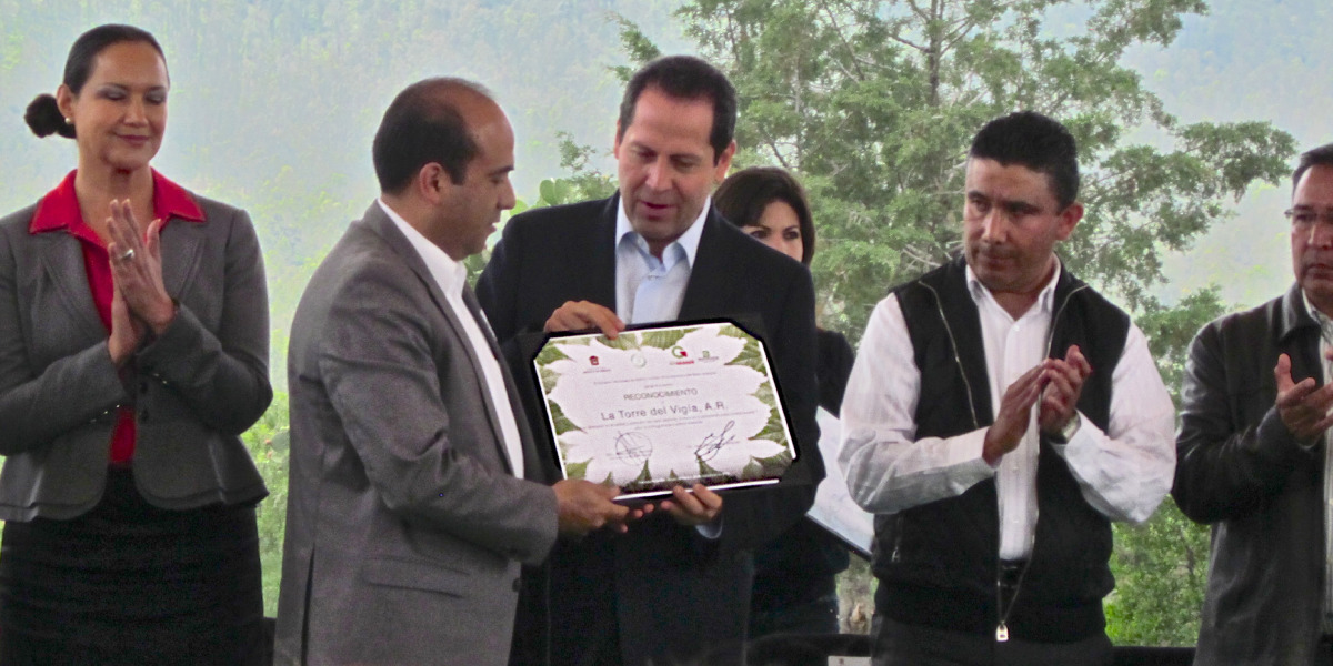 Jehovah’s Witnesses Receive an Award for Protecting the Environment