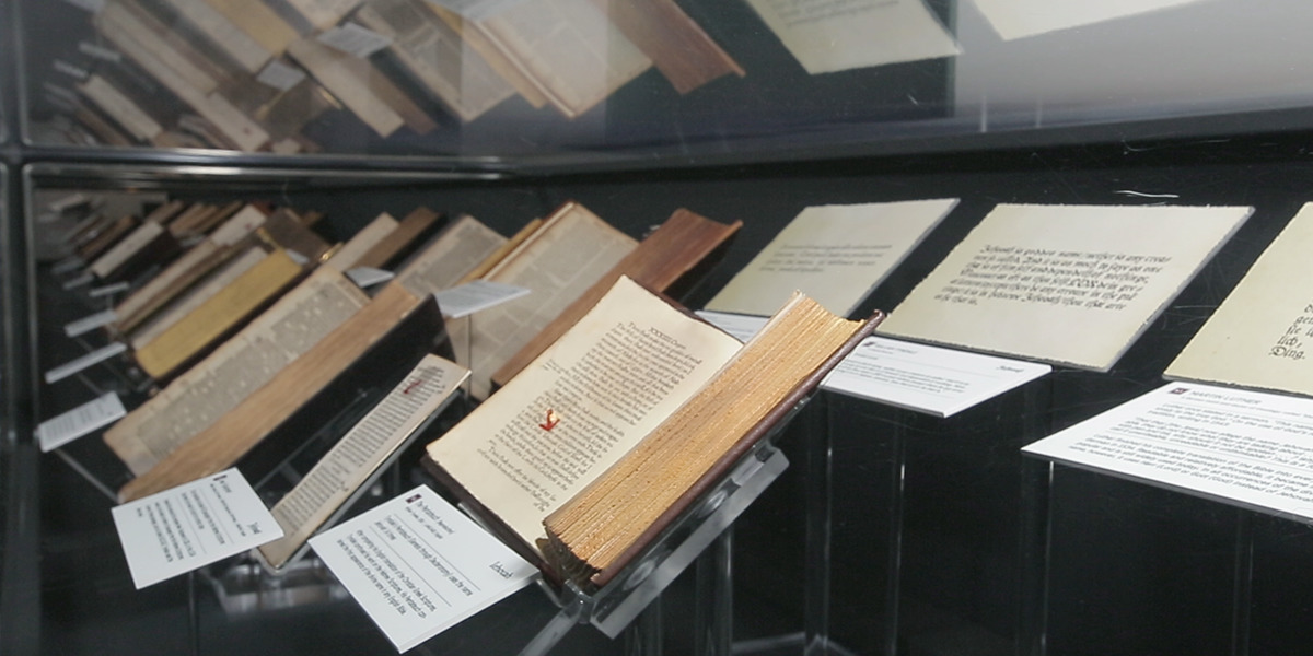 God’s Name in the Bible | JW.ORG Videos