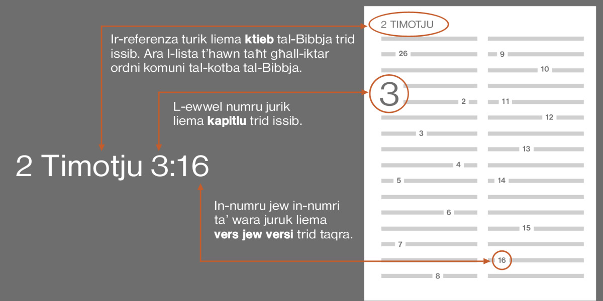 Sib l-iskritturi fil-Bibbja