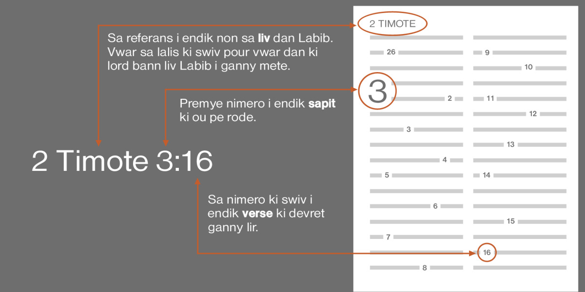 Trouv en verse dan Labib